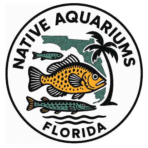 nativeaquariums.com – Native Aquariums